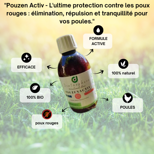 Produit professionnel naturel contre les poux rouges des poules - Coco-Eco