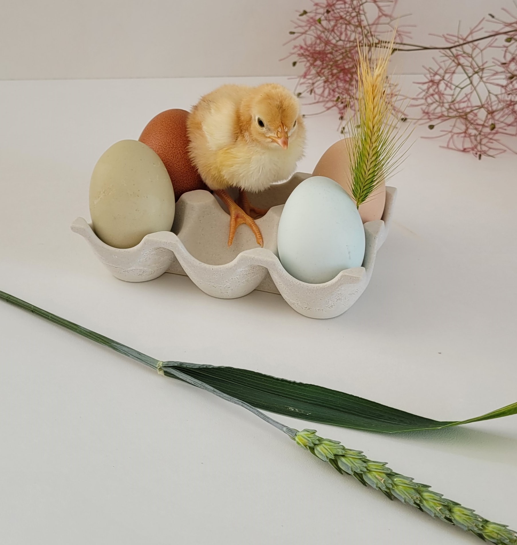 Plateau porte-oeufs en béton blanc - Coco-Eco