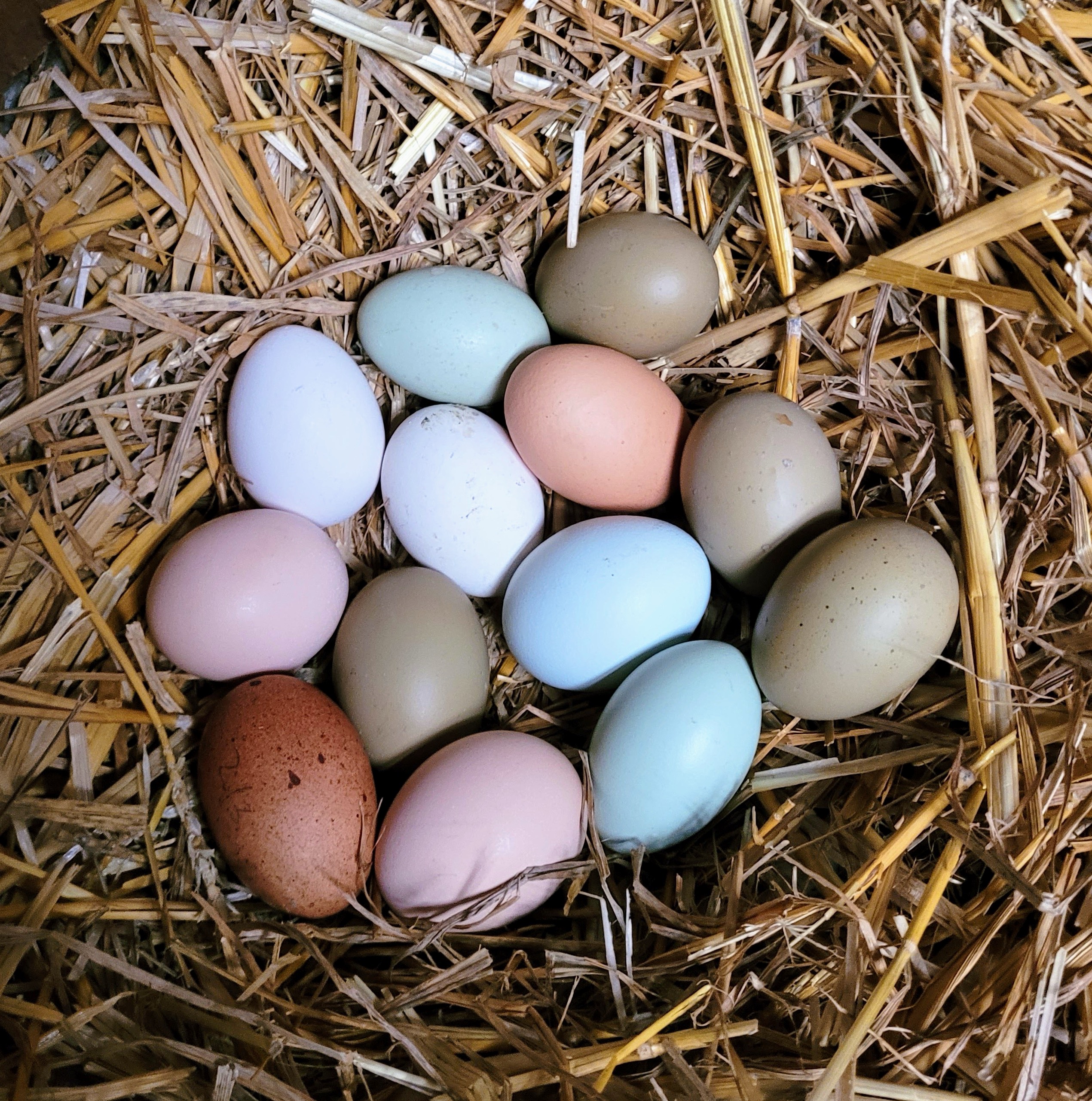 Easter eggs - Coco-Eco